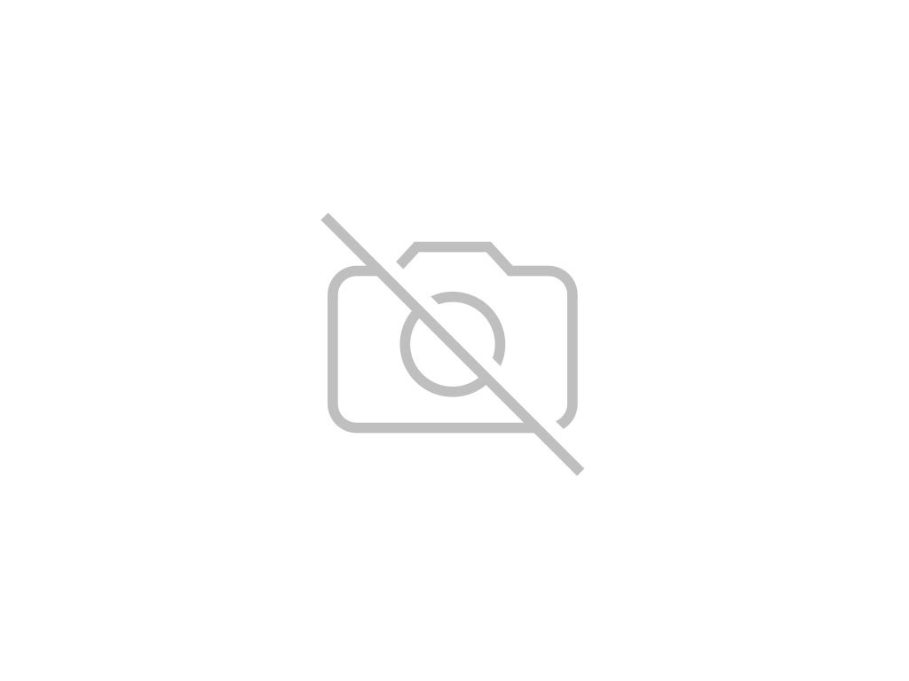 Ford Transit Panel Van 350 L2 Diesel AWD 2.0 Ecoblue 170PS H2 Trail Van ...